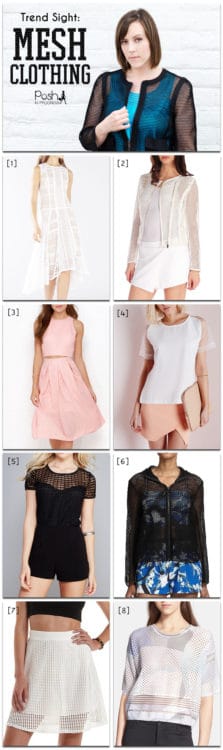Mesh Clothing Trend - Posh in Progress