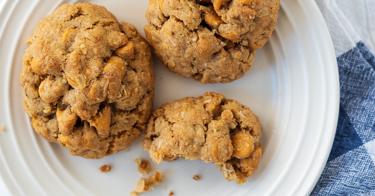 How to Make This Chewy Oatmeal Scotchies Recipe - Posh in Progress